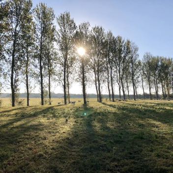 Gallery of Milwards House Estate Wedding Venue