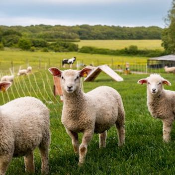 Gallery of Milwards House Estate Wedding Venue